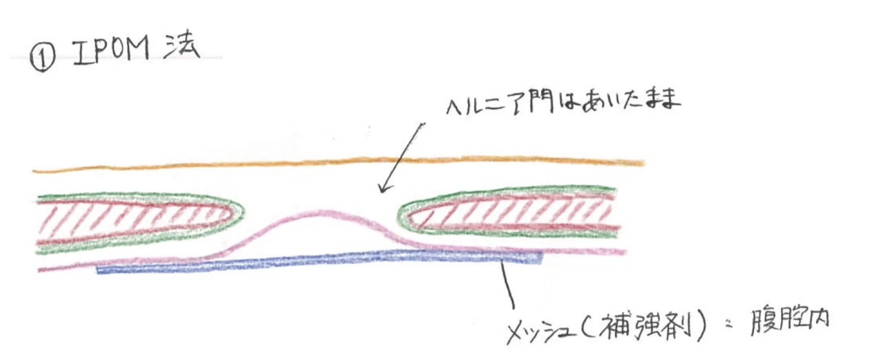 外科｜診療科｜伊東市民病院｜静岡県伊東市