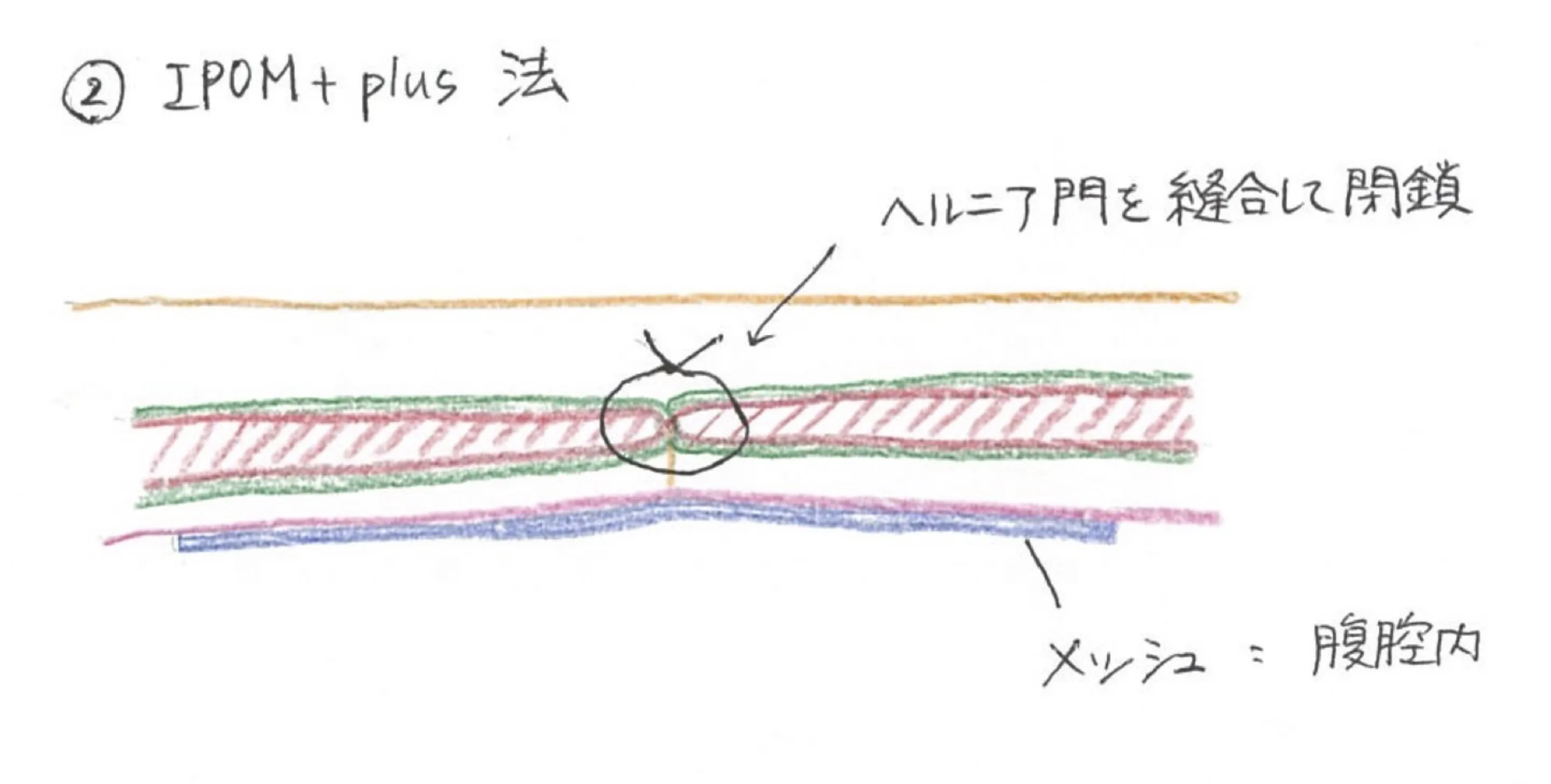 外科｜診療科｜伊東市民病院｜静岡県伊東市
